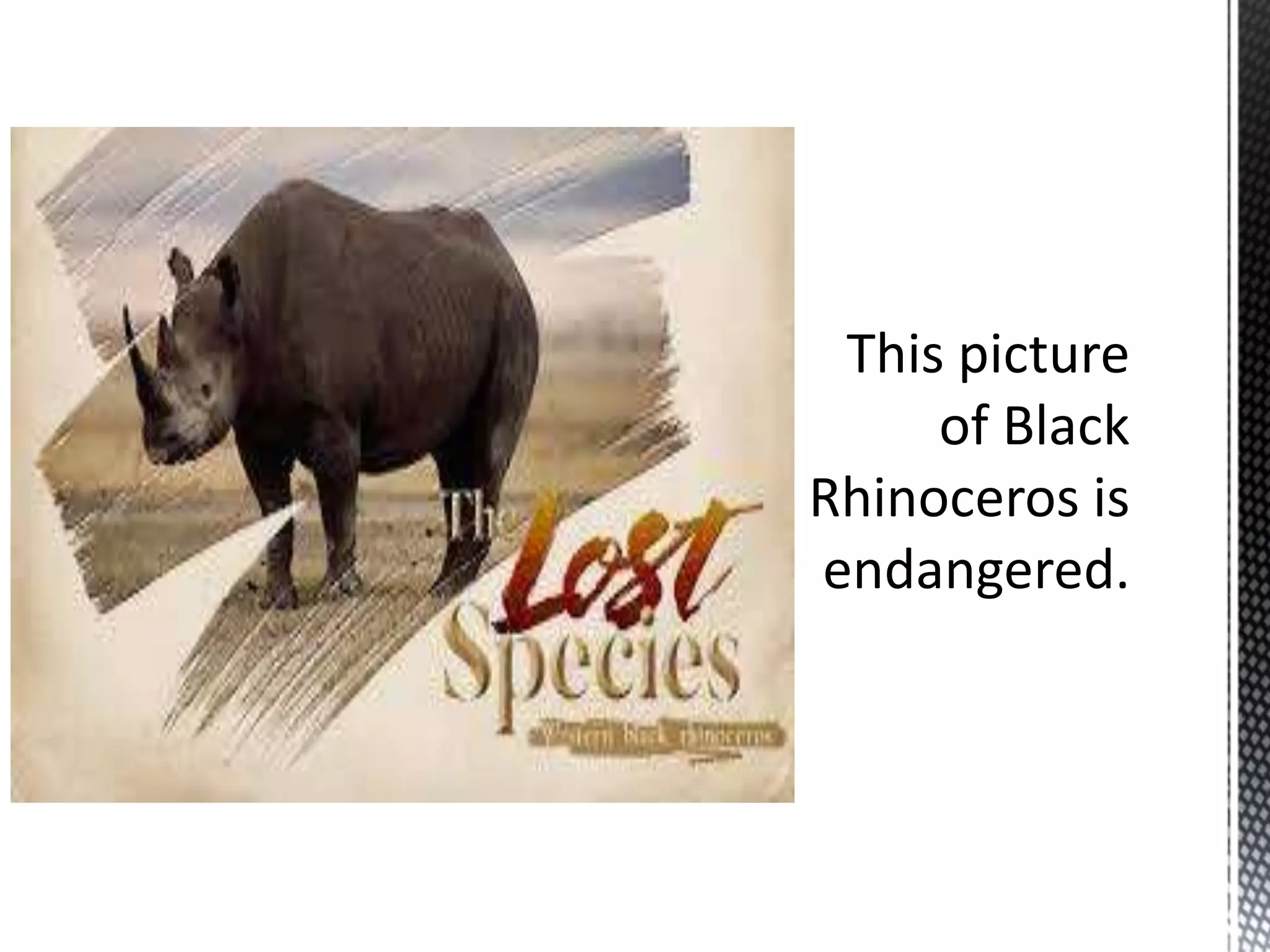 Endangered and extinct | PPT