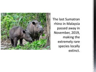 Endangered and extinct | PPTX