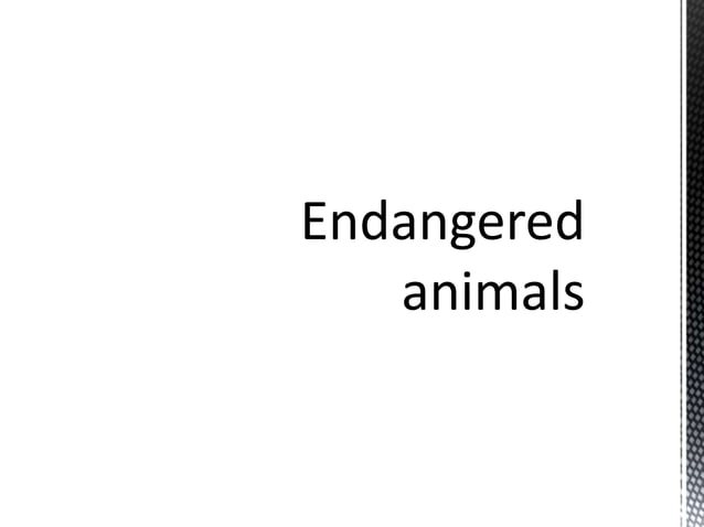 Endangered and extinct | PPT