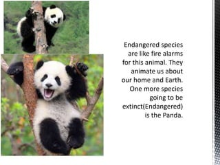 Endangered and extinct | PPT