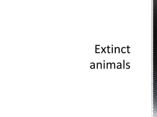 Endangered and extinct | PPT