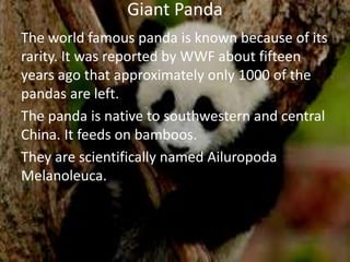 Endangered and extinct species of southern asia | PPTX