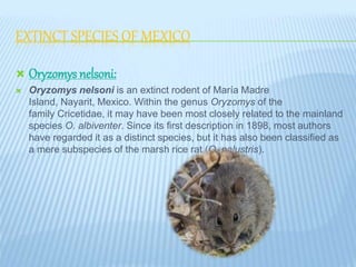 Endangered and extinct spieces of mexico | PPTX