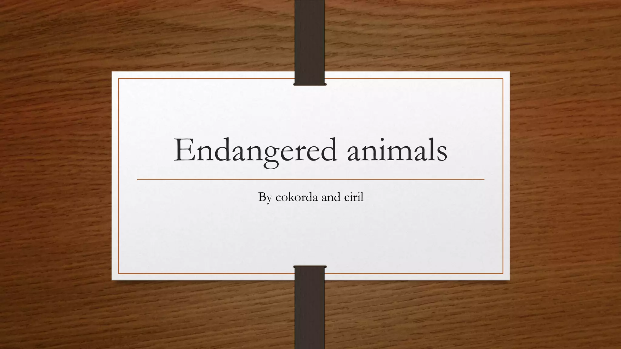 Endangered animal cokorda and cyril(descriptive text) | PPTX