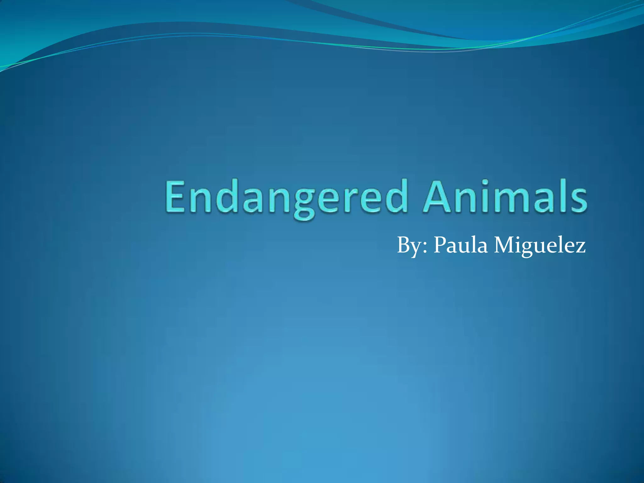 Endangered animals | PPT