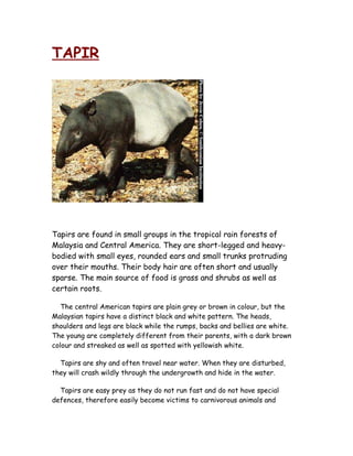 Endangered animals | DOC | Zoos & Aquariums | Attractions