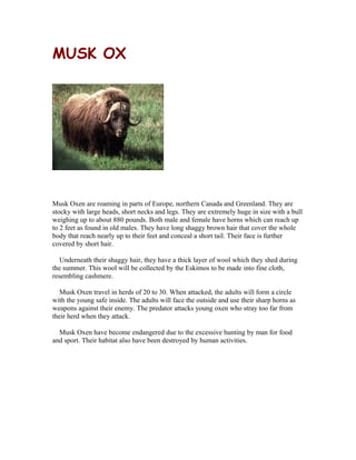 Endangered animals | DOC