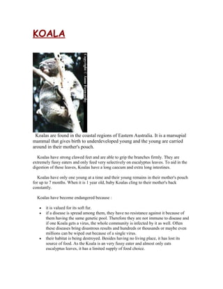 Endangered animals | DOC