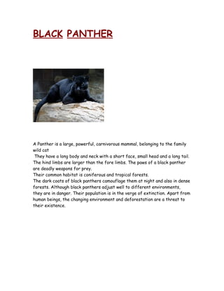 Endangered animals | DOC