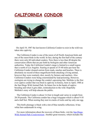 Endangered animals | DOC