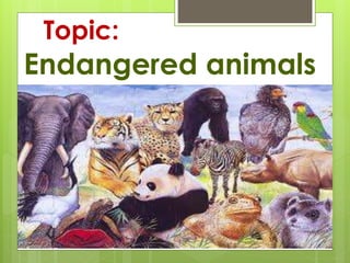 Endangered animals | PPT