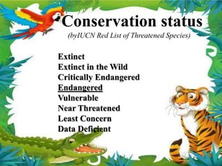 Endangered animals | PPTX