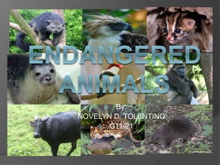 Endangered Animals | PPT