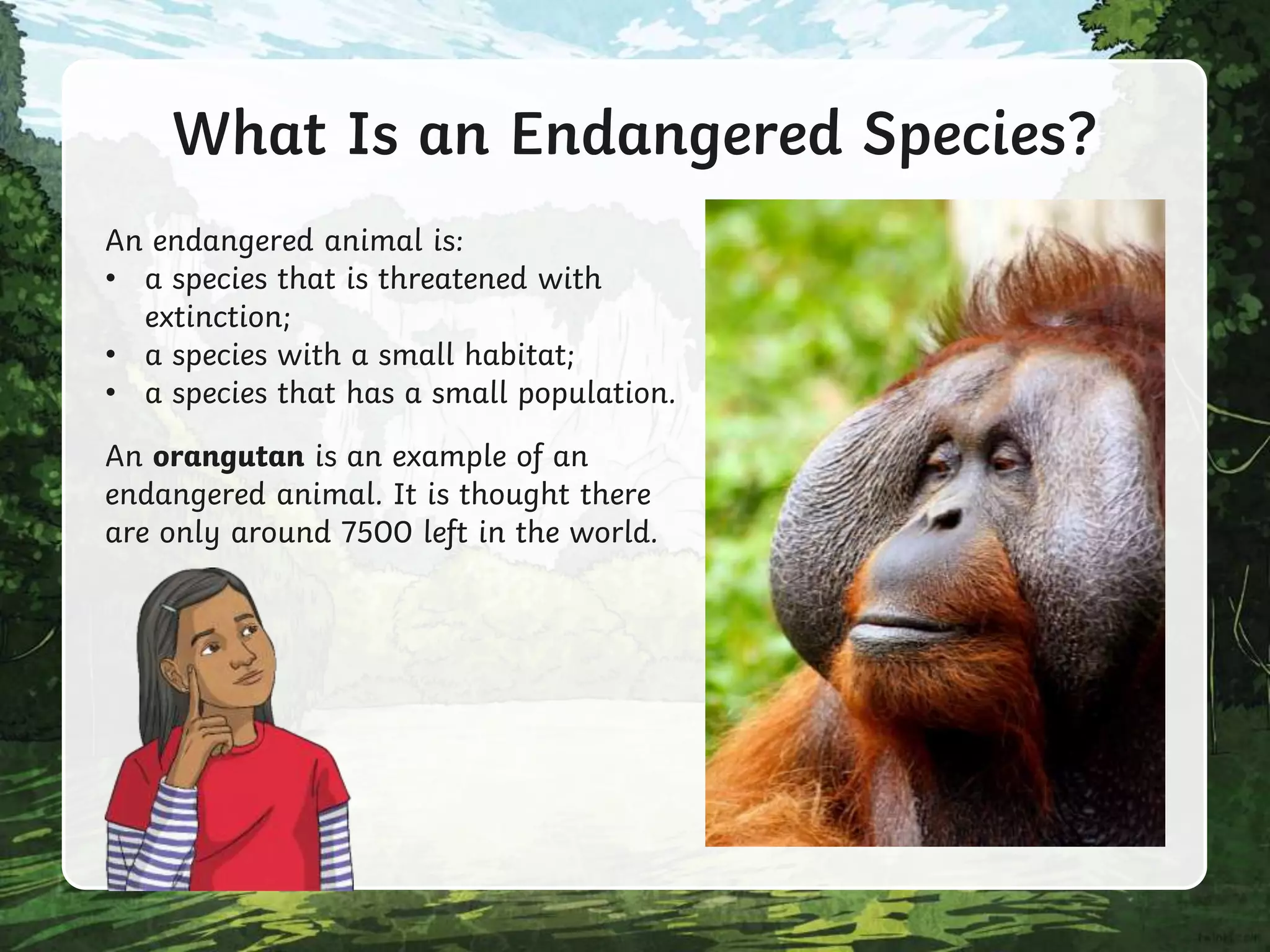 Endangered animals | PPT