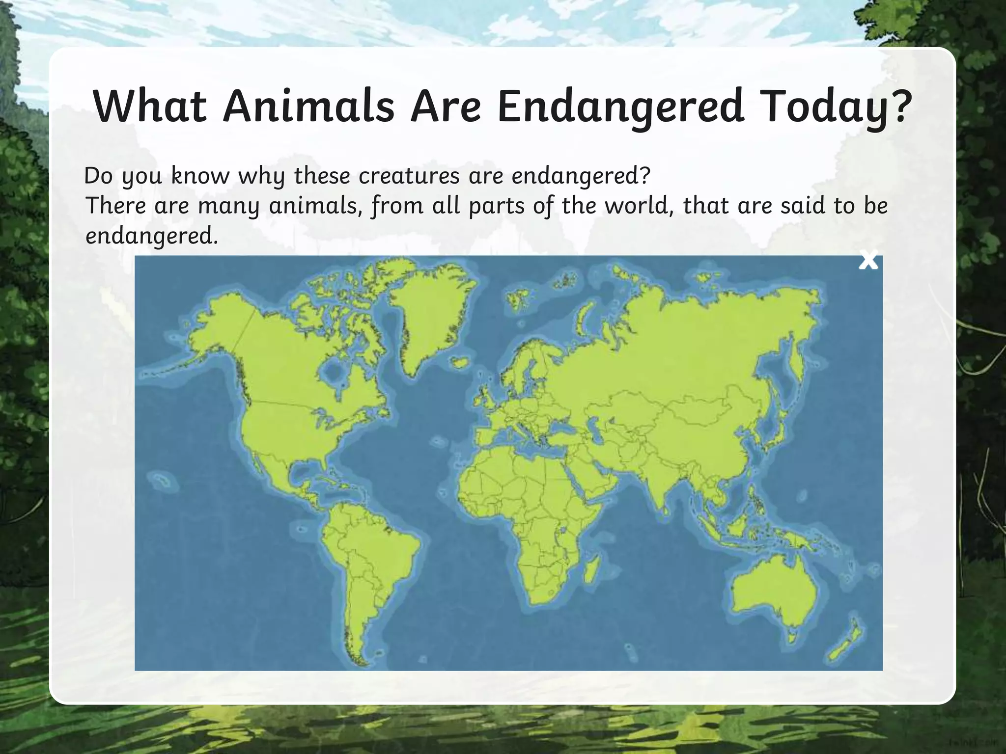 Endangered animals | PPT