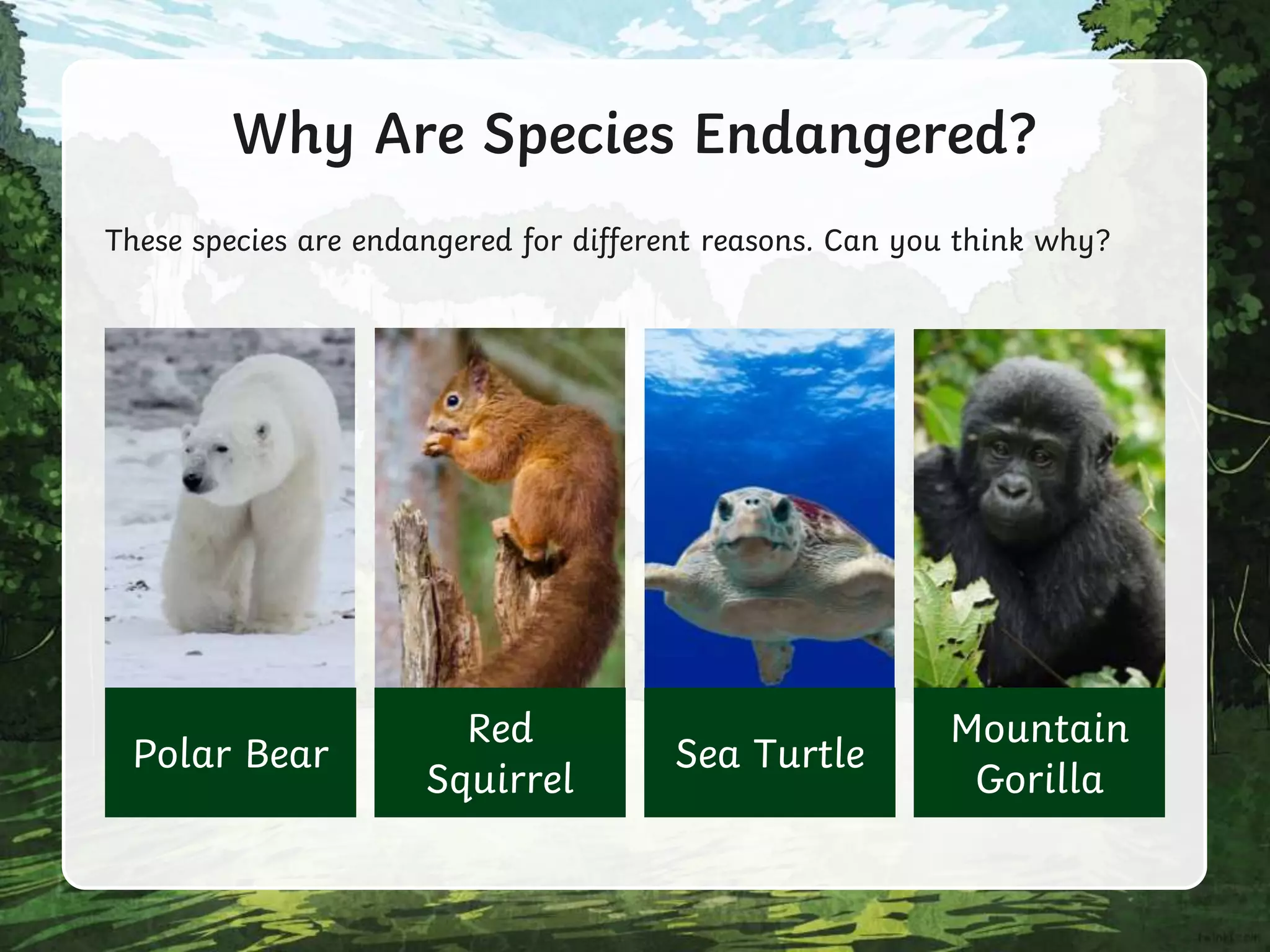Endangered animals | PPT