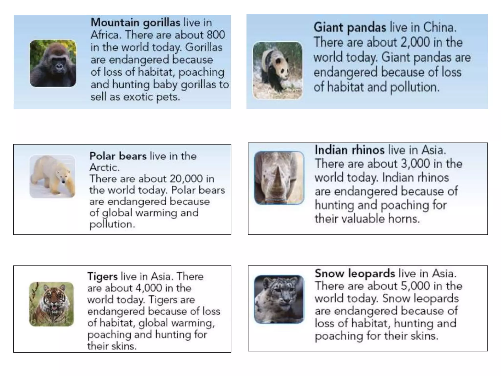 Endangered animals | PPTX | Pets