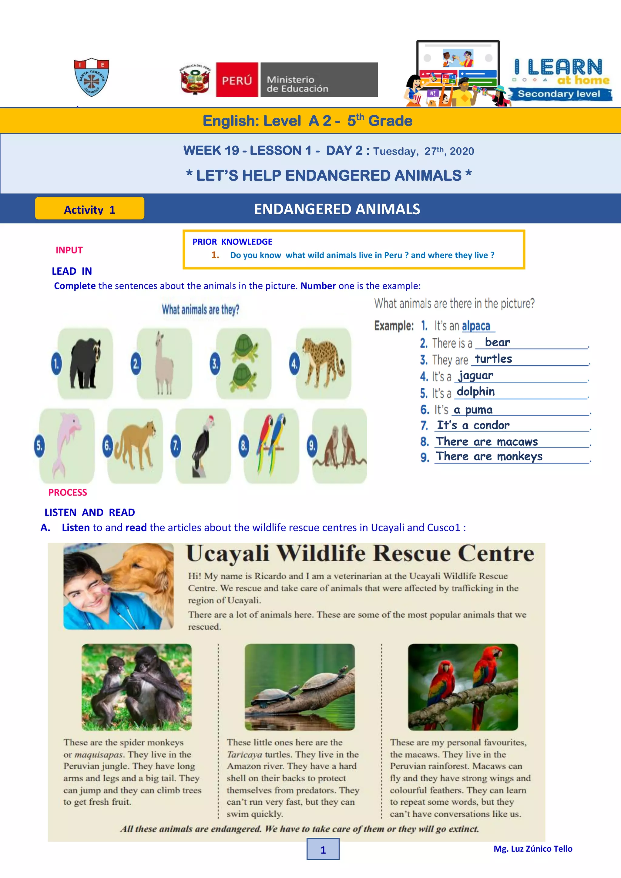 Endangered animals | PDF