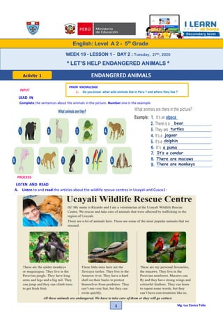 Endangered animals | PDF
