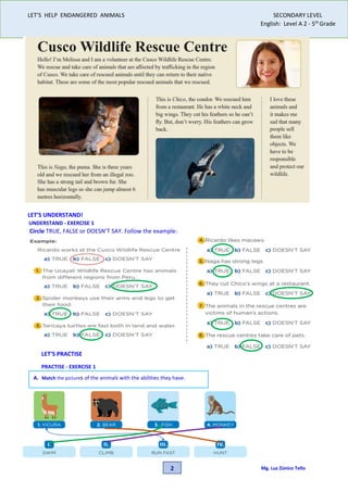 Endangered animals | PDF