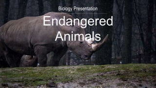 Endangered Animals - Biology Presentation | PPTX