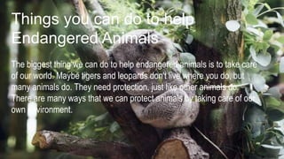 Endangered Animals - Biology Presentation | PPTX