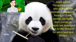 Endangered animals in English .pptx