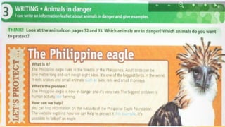 Endangered Animals, Composition for Year 5 | PPT