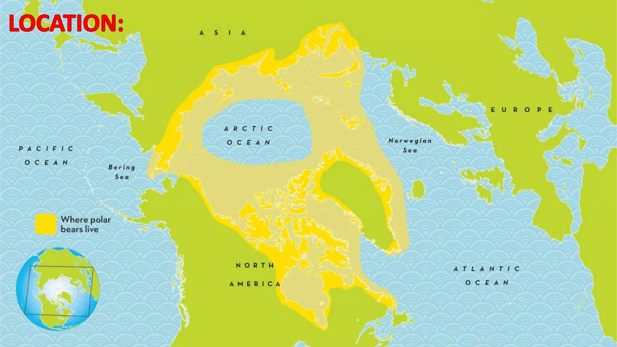 ENDANGERED ANIMALS - MELO HUAMAN.pptx