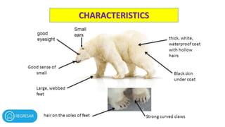 ENDANGERED ANIMALS - MELO HUAMAN.pptx