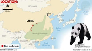 ENDANGERED ANIMALS - MELO HUAMAN.pptx