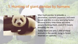 Endangered animals panda - | PPTX