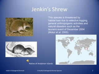 Endangered Animals 2 | PDF