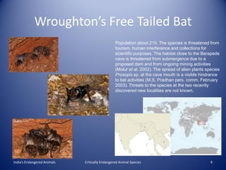 Endangered Animals 2 | PDF