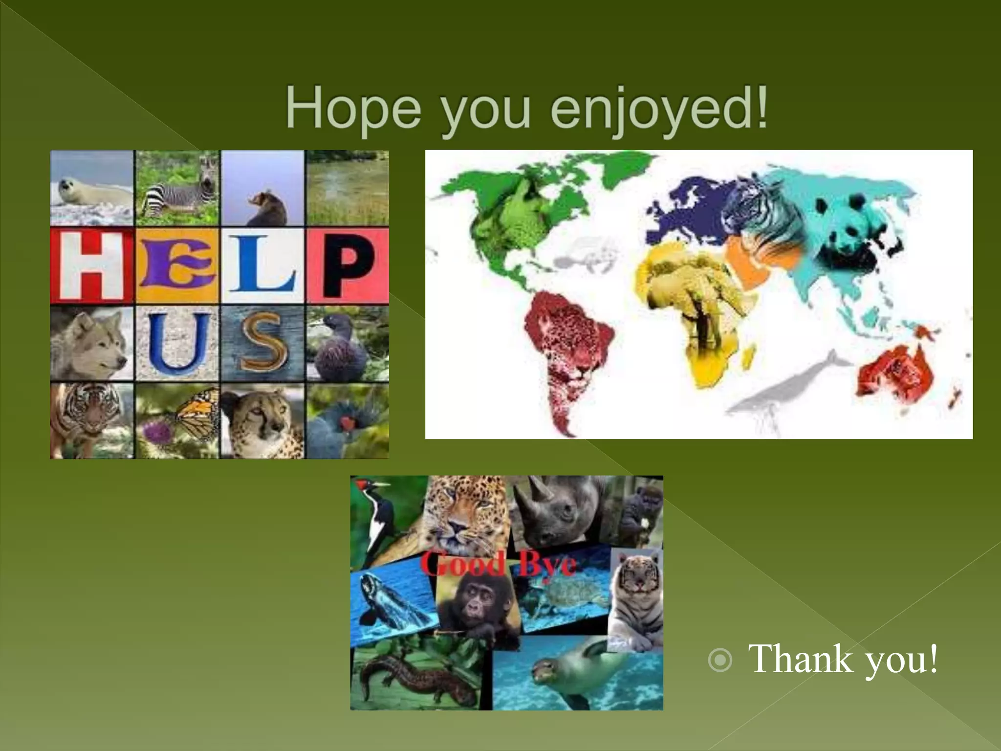 Endangered animals | PPTX