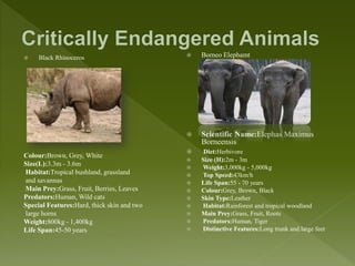 Endangered animals | PPTX