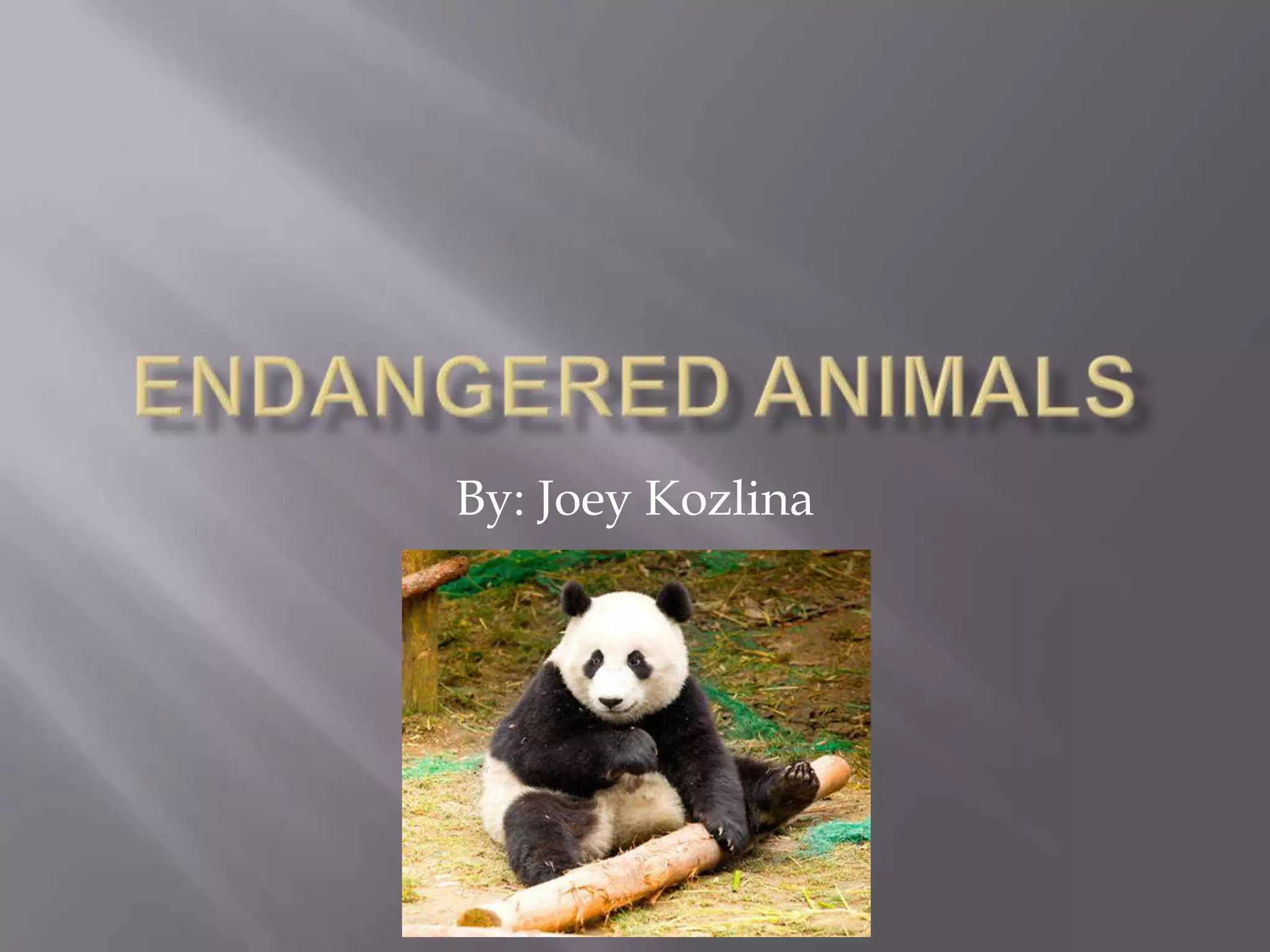 Kozlina - Endangered Animals | PPT