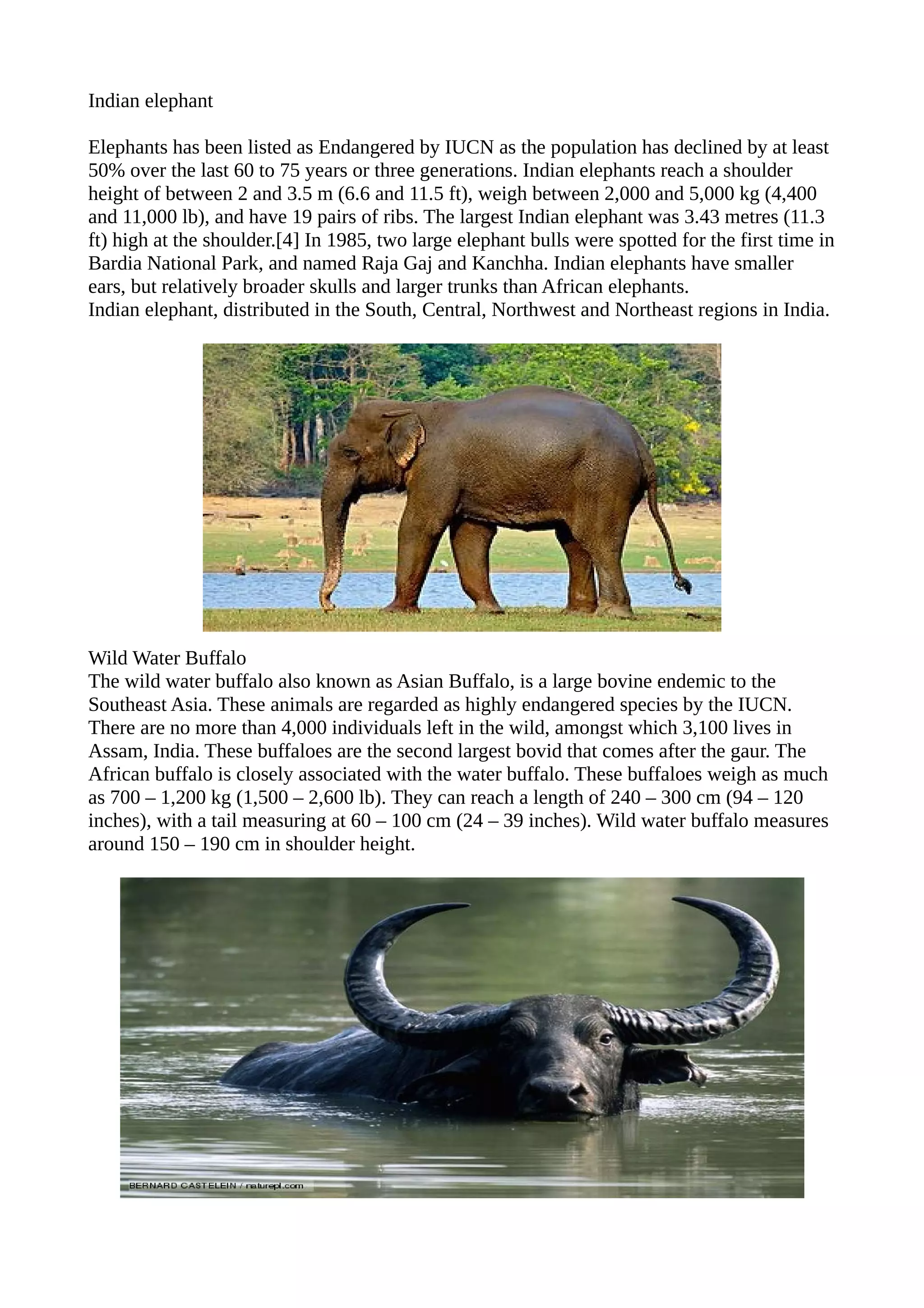 Endangered animals of india | PDF