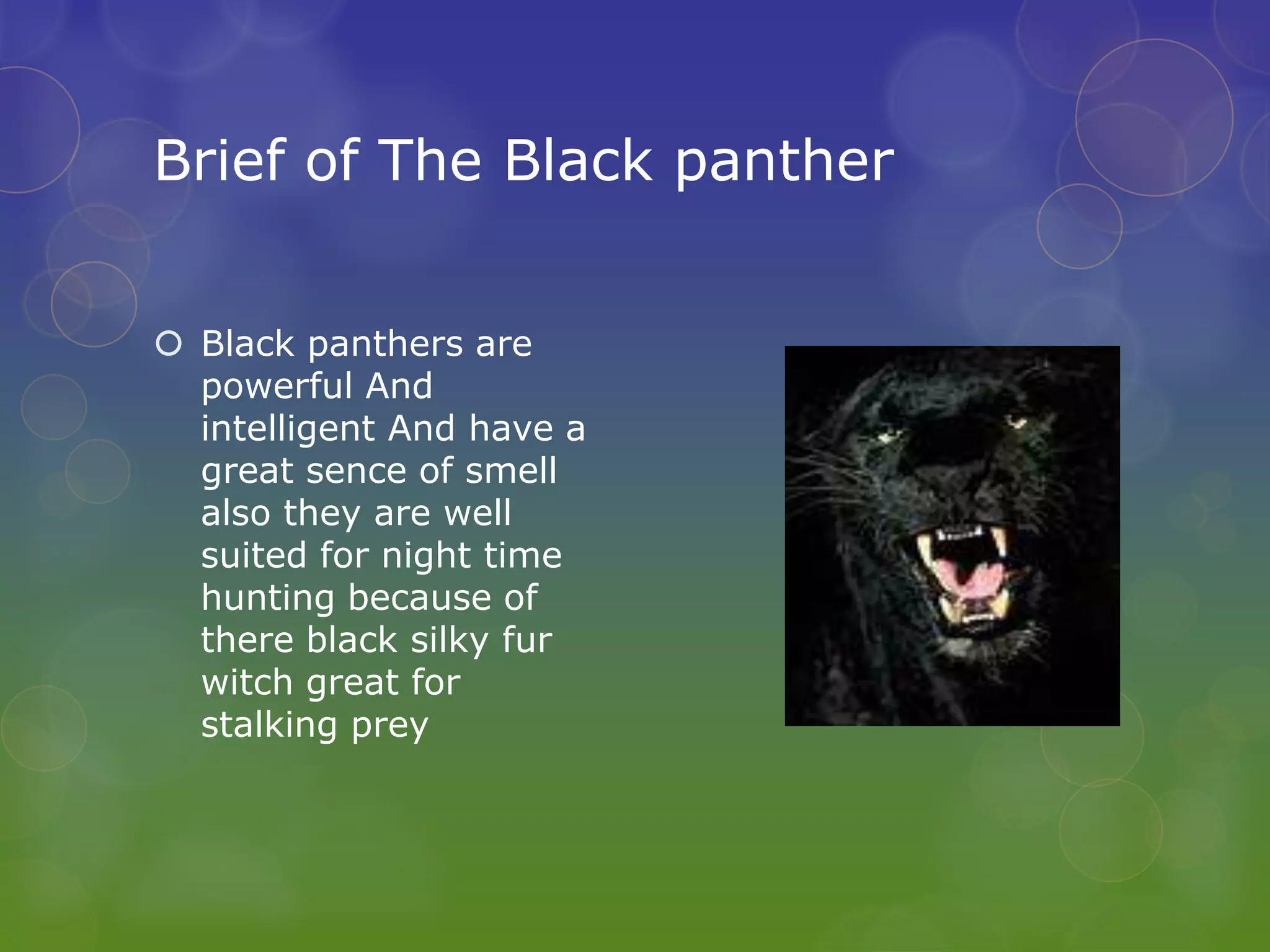 Endangered animals panther | PPTX