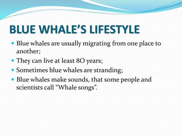 Endangered animal species: Blue Whales | PPTX