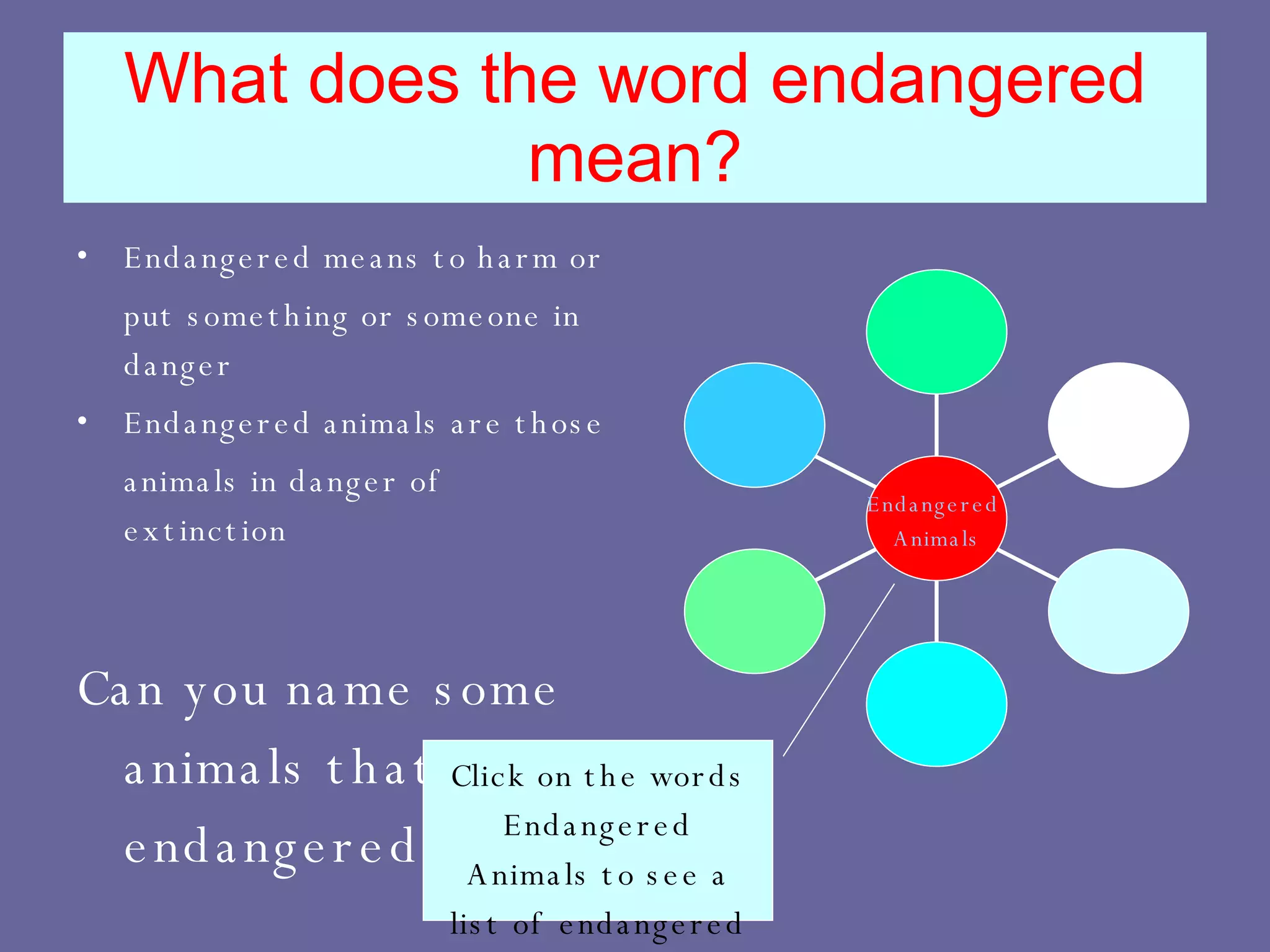 Endangered Animals Powerpoint[1] | PPT