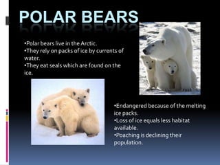 Endangered Animals | PPTX