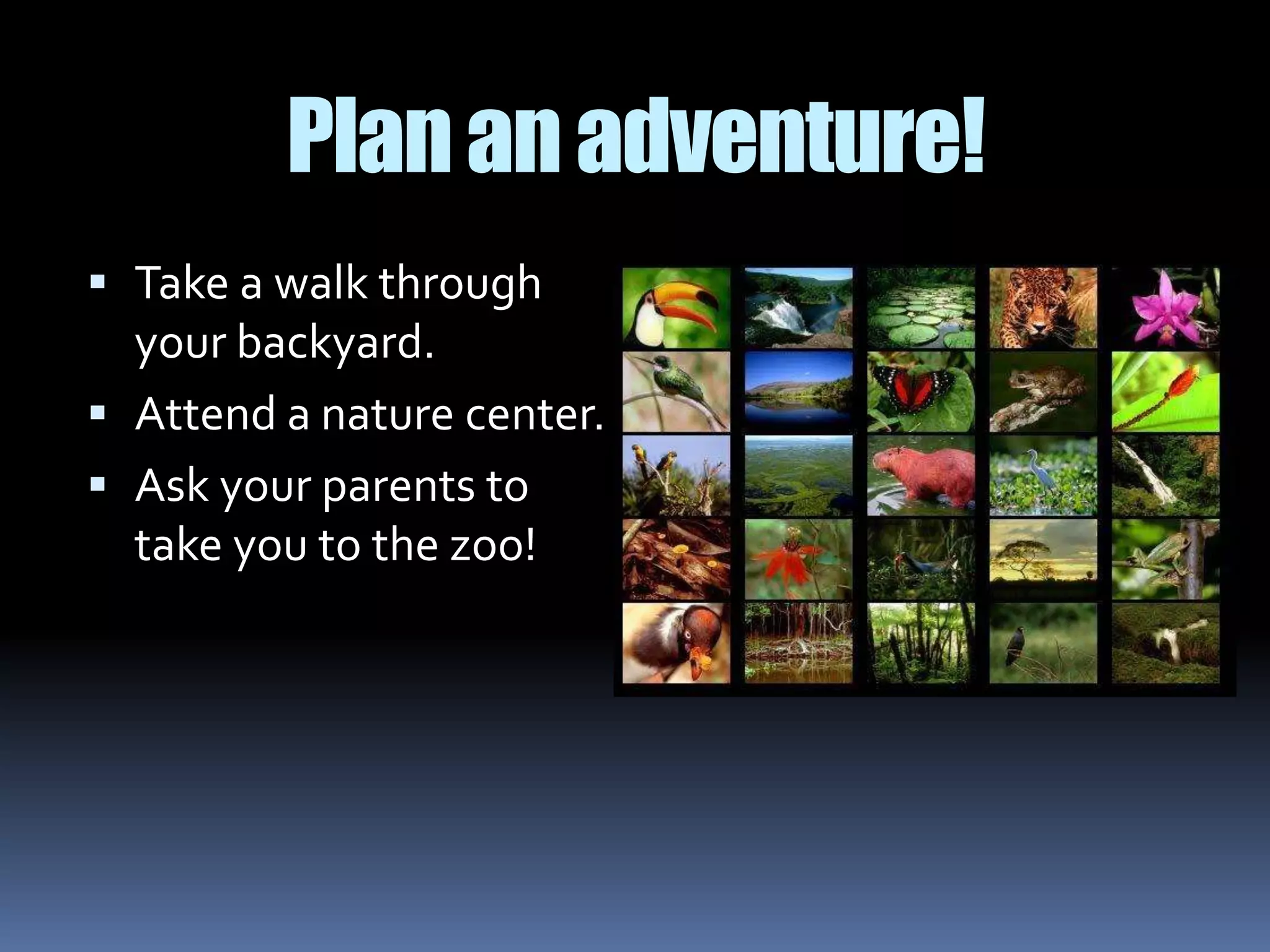 Endangered Animals | PPT