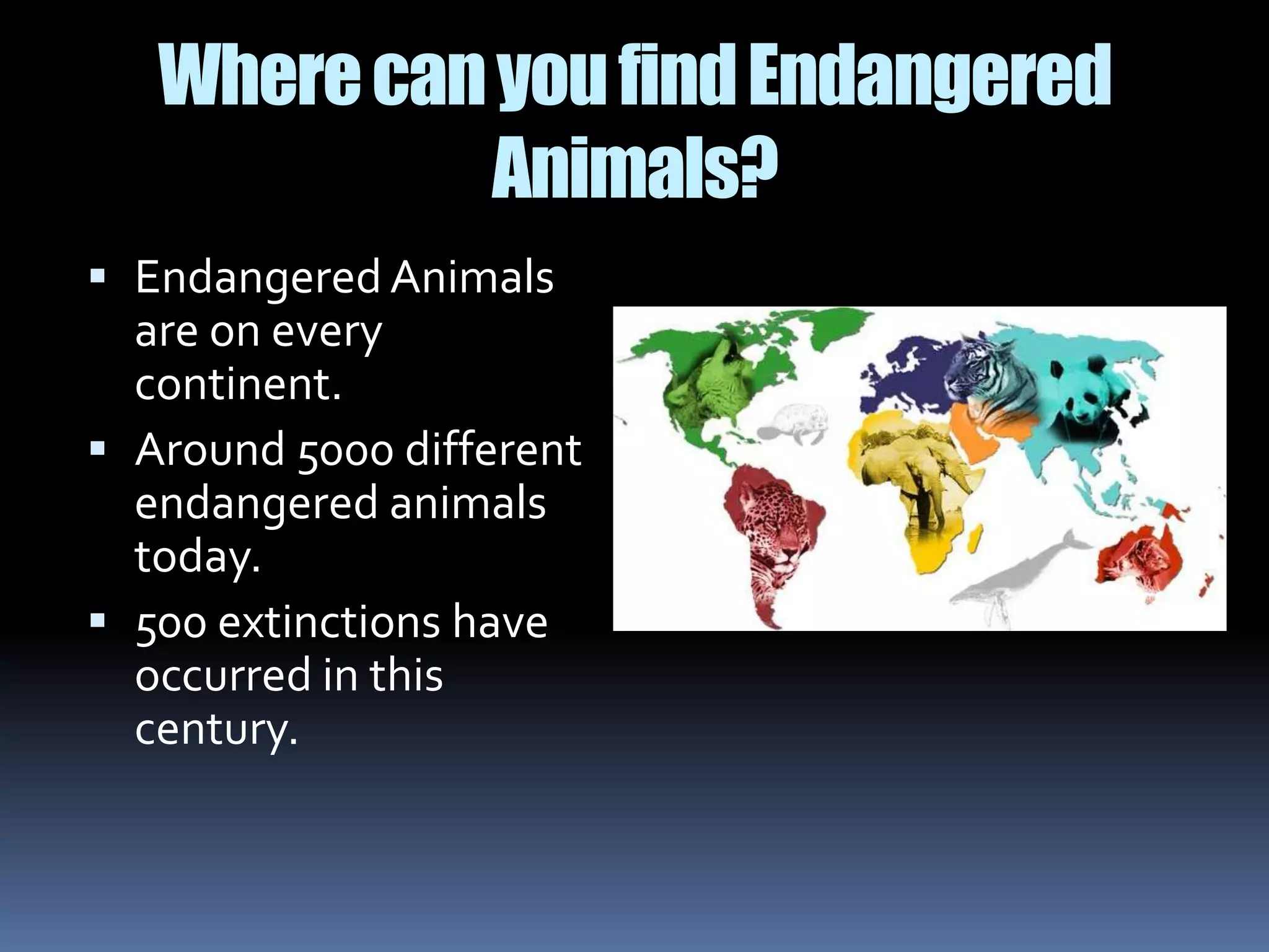 Endangered Animals | PPT