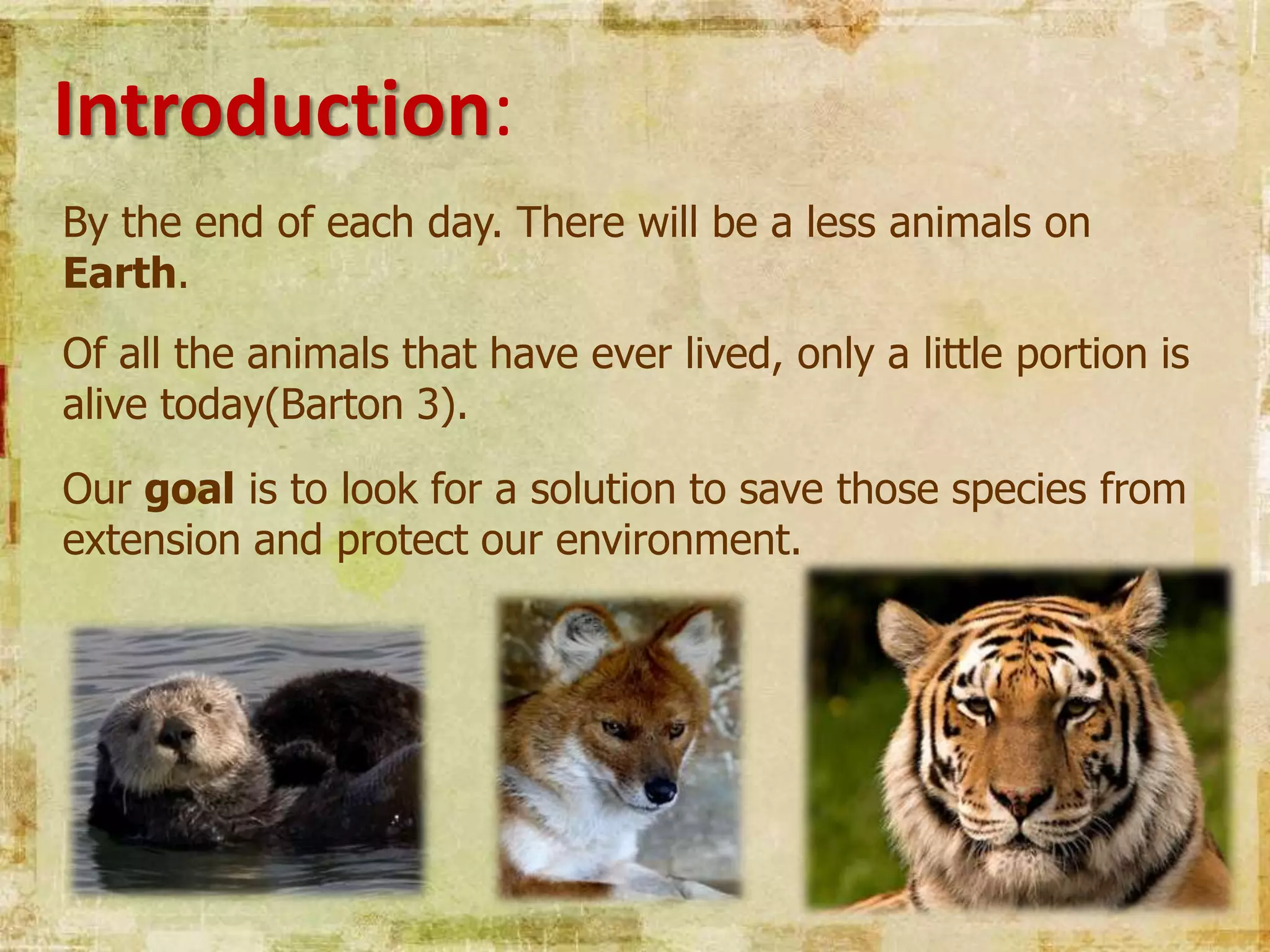 Endangered animals project | PPTX | Environment | Science