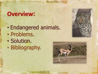 Endangered animals project | PPTX | Environment | Science