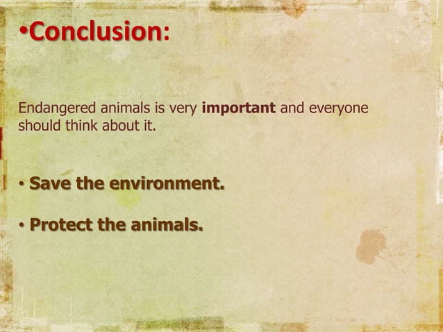 Endangered animals project | PPTX | Environment | Science
