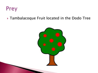 Animal third grade presentation | PPTX