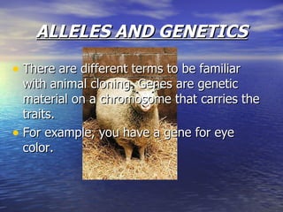 Endangered cloning | PPT