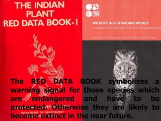 Endangered & extinct species of animals found in India | PPTX